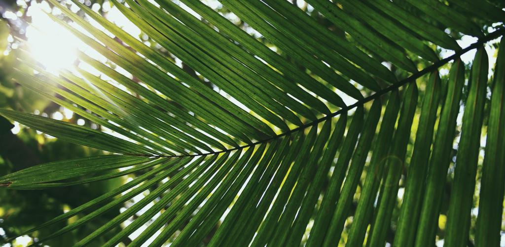 comprehensive-financial-planning-services-financial-planning-hawaii