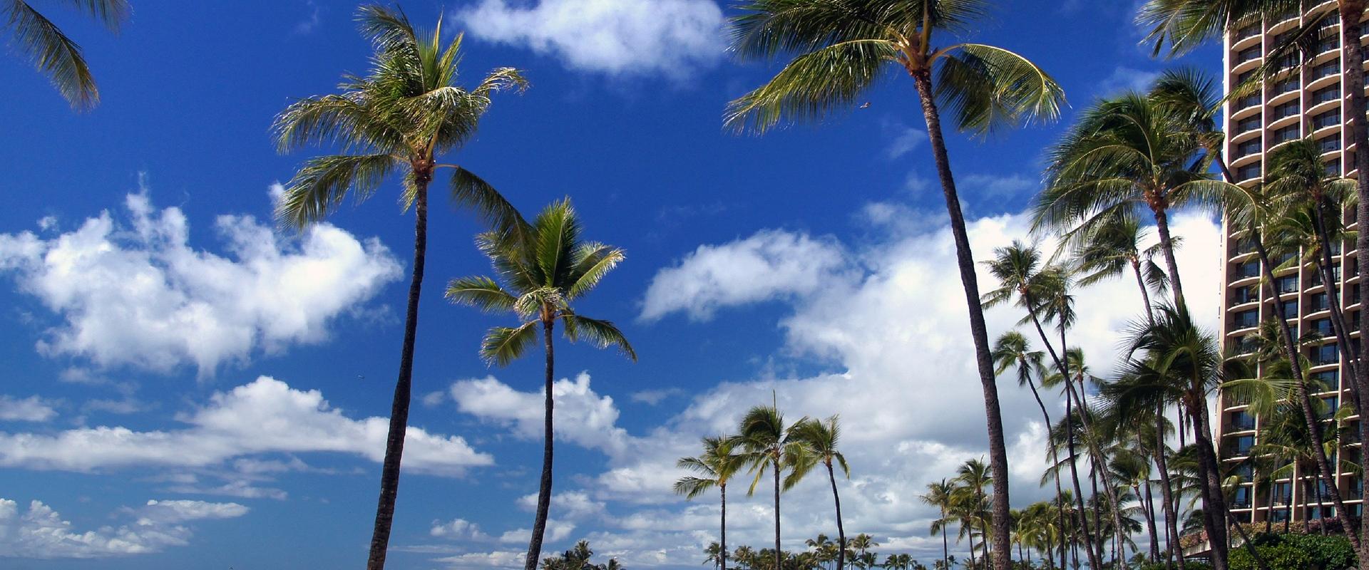 Financial Planning Hawaii | Fiduciary Financial Advisor