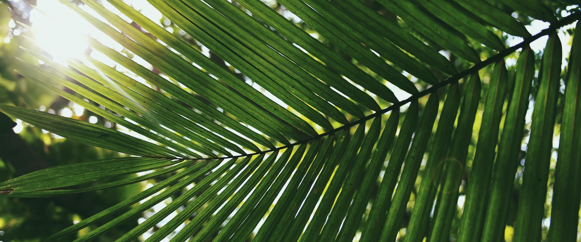 Comprehensive Financial Planning Services Financial Planning Hawaii Comprehensive Financial Planning Services Financial Planning Hawaii